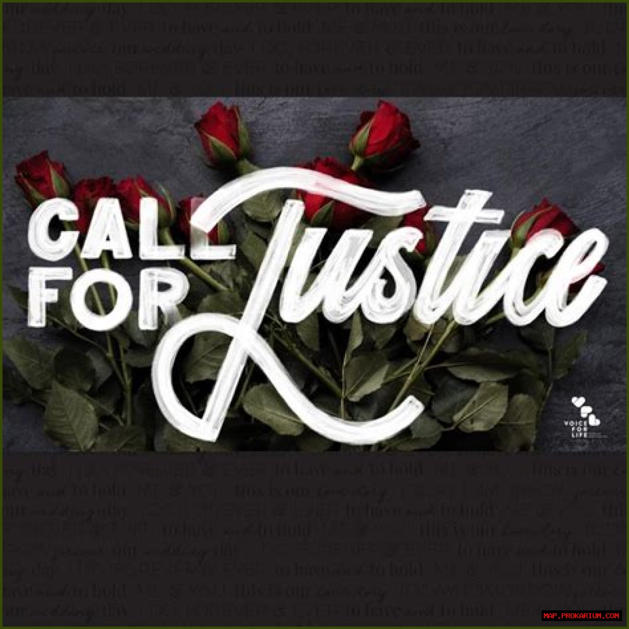 Sophie Rain's Horrific Sexual Assault: A Call For Justice